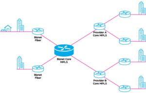 Biznet Global Internet - Biznet Networks