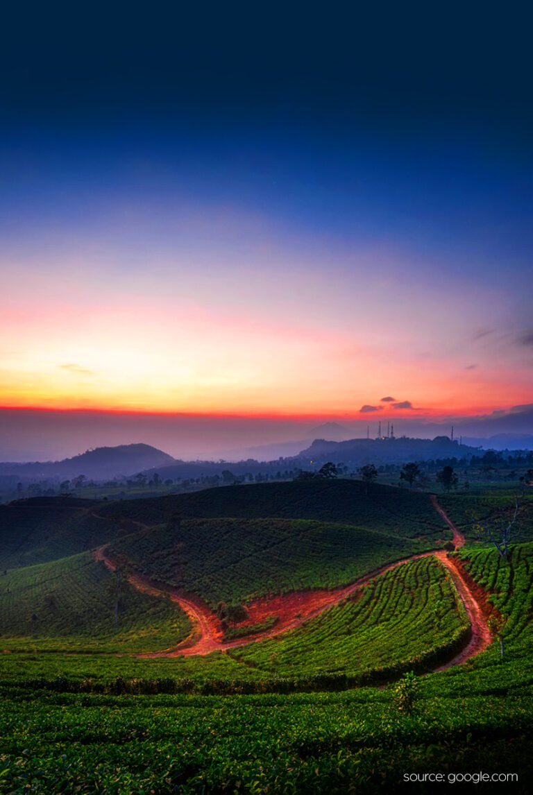 KABUPATEN SUBANG PAMANUKAN - Biznet Networks